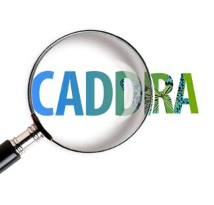 Purchase Guidelines – ADHD Learn